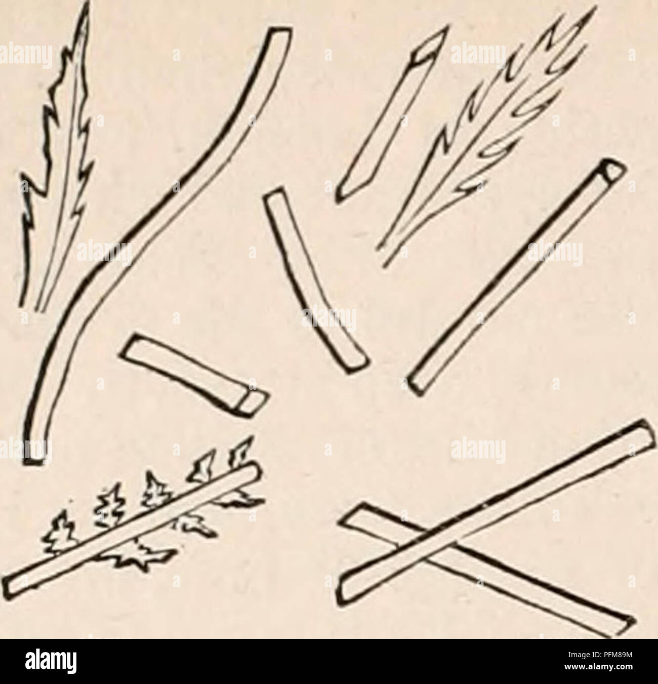 This cyclopedia provides a detailed exploration of human anatomy and ...