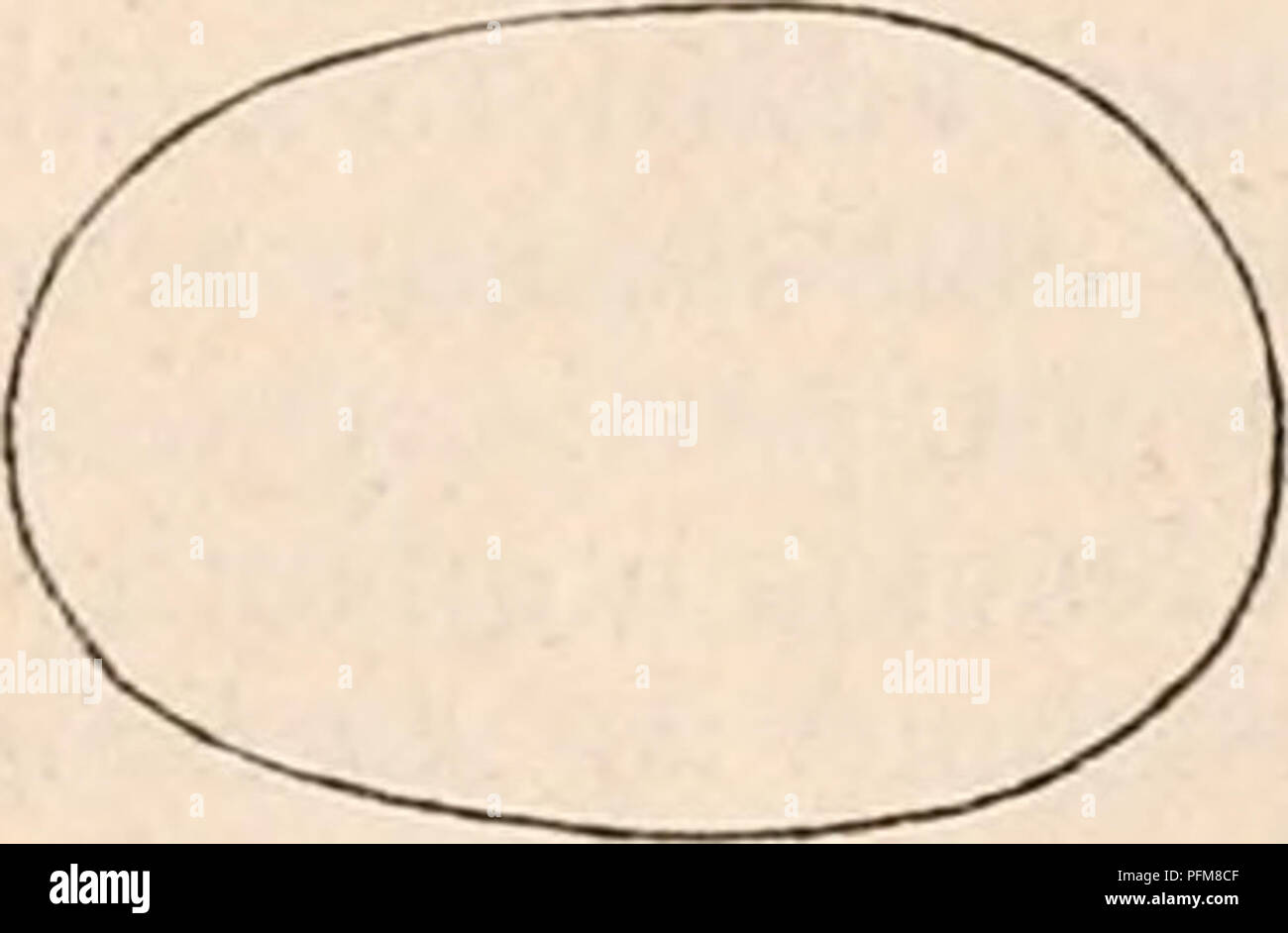 Hedgehog anatomy hi-res stock photography and images - Alamy