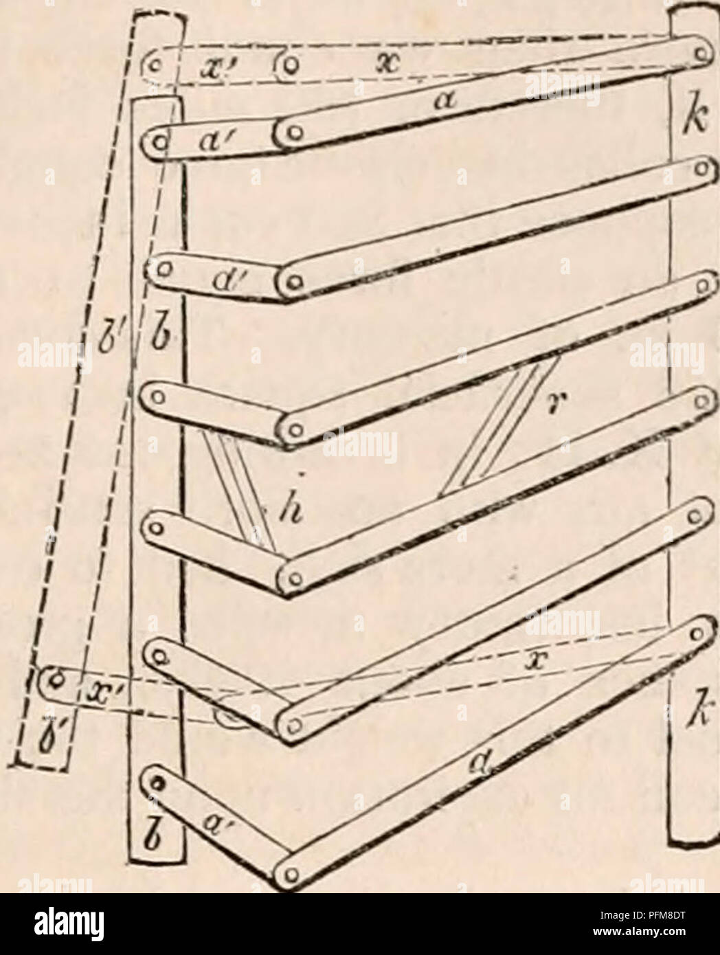 This cyclopedia covers various aspects of human anatomy and physiology ...