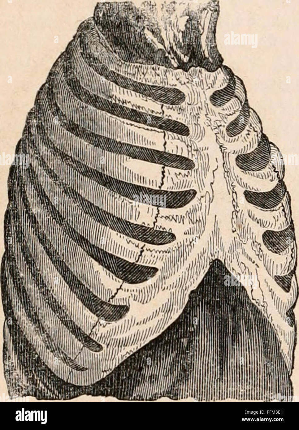 . The cyclopædia of anatomy and physiology. Anatomy; Physiology ...