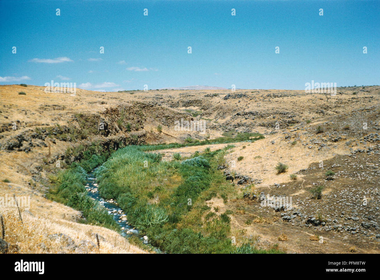 Syria, Barada Valley, river winding through valley, lush vegetation ...