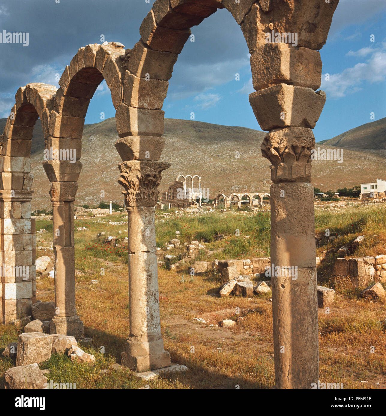 Lebanon, ruins of Anjar, a city founded by Omayyad Caliph Al-Walid lbn ...