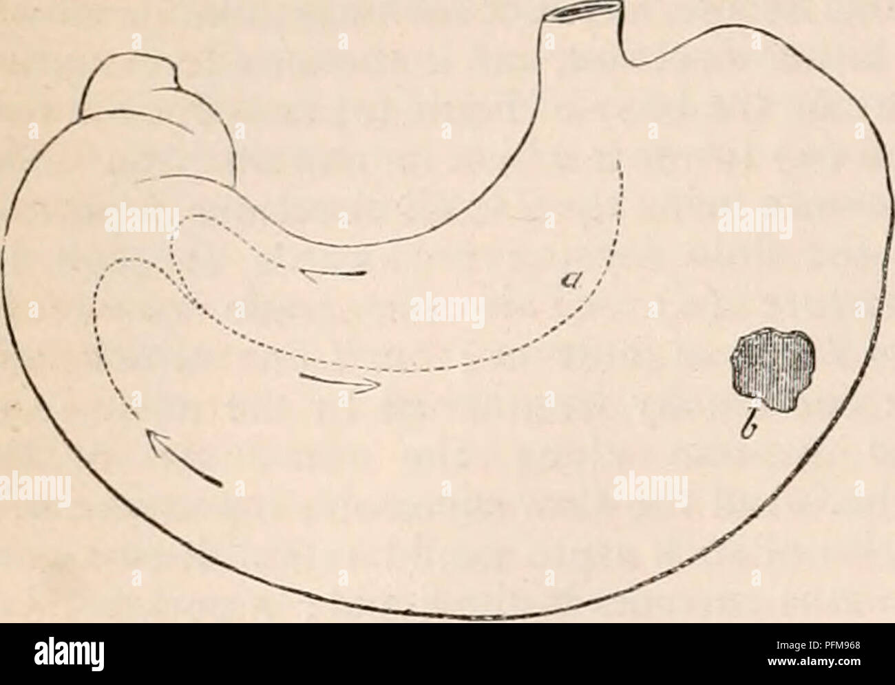 This comprehensive reference covers human anatomy and physiology, with ...