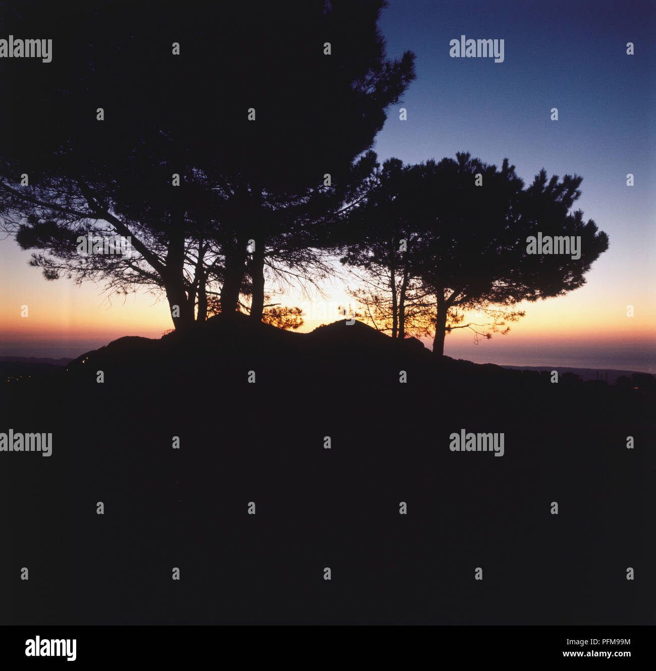 Silhouette landscape with sunset hi-res stock photography and images ...