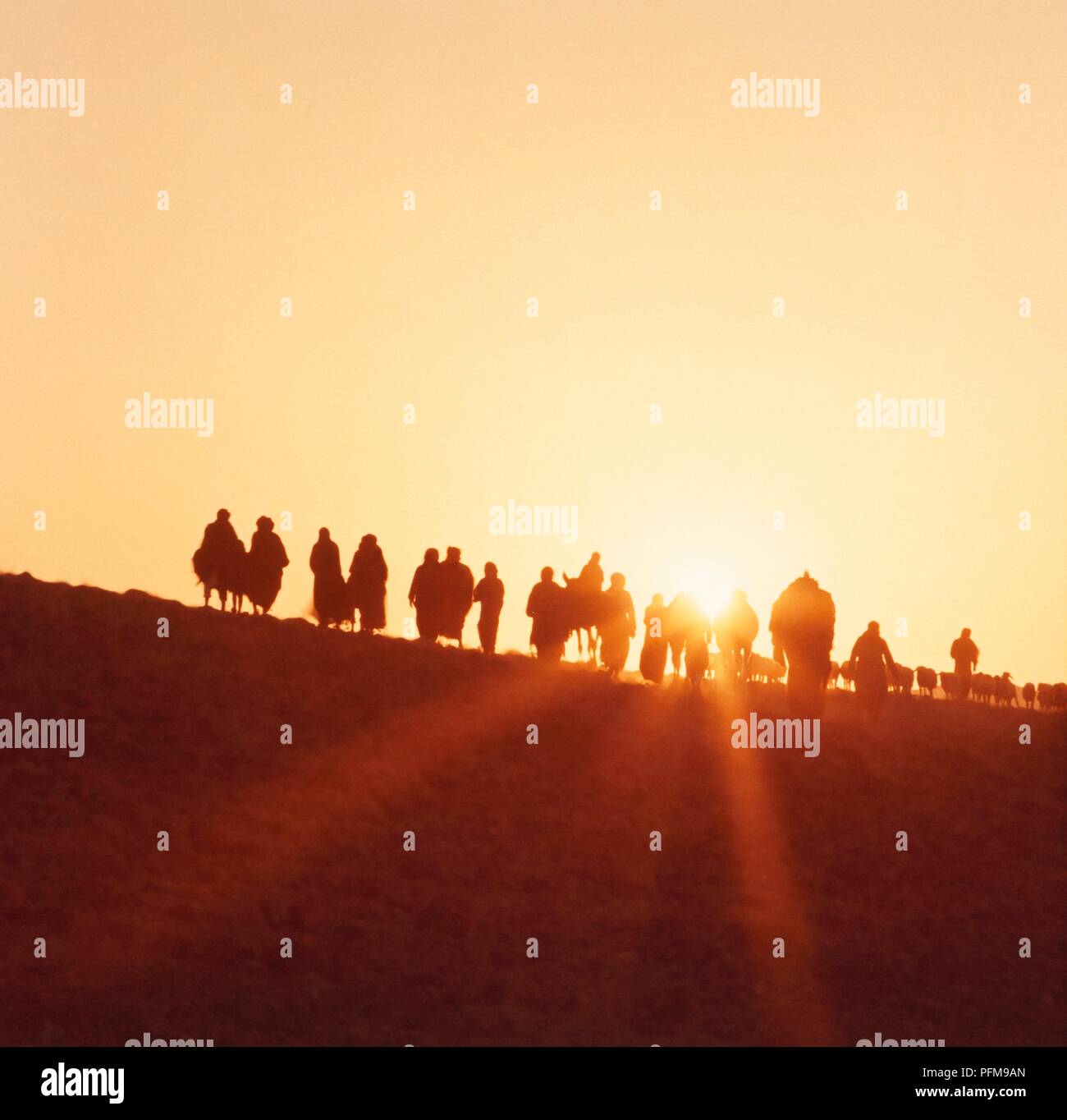 Bedouin nomads israel hi-res stock photography and images - Alamy