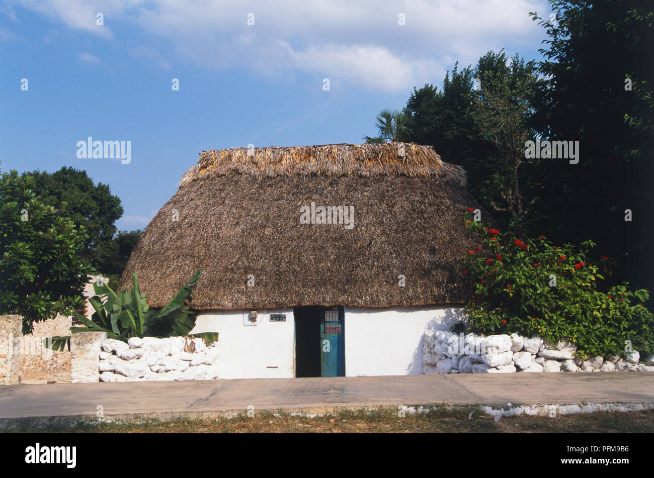 Thatch house mexico hi-res stock photography and images - Alamy
