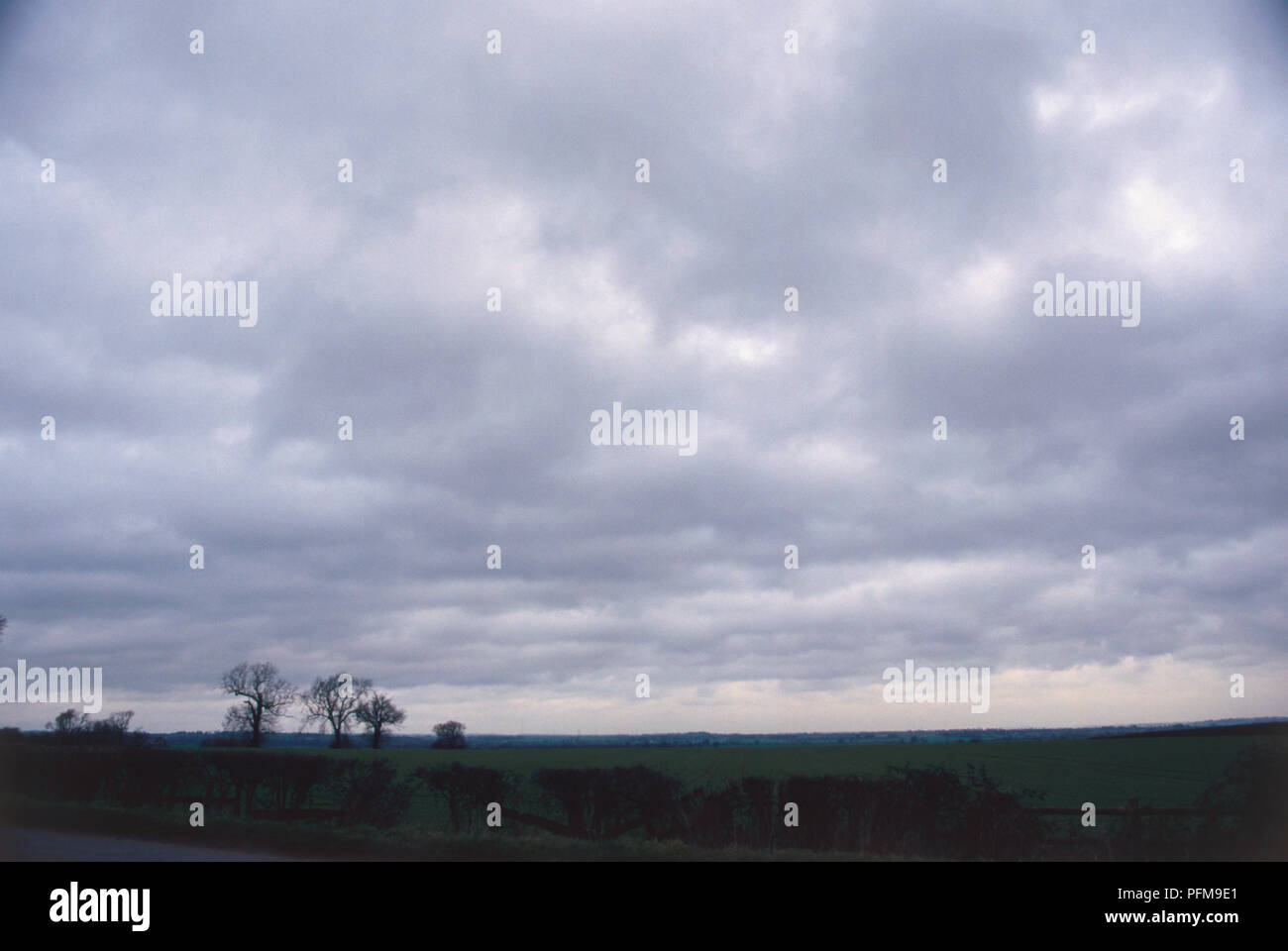 Stratocumulus, grey clouds characterised by large dark, rounded masses ...