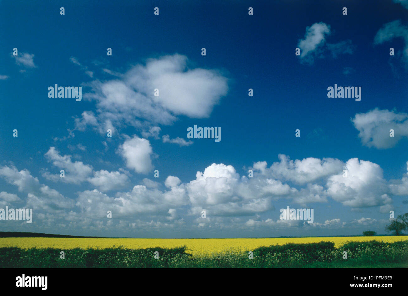 Level landscape hi-res stock photography and images - Alamy