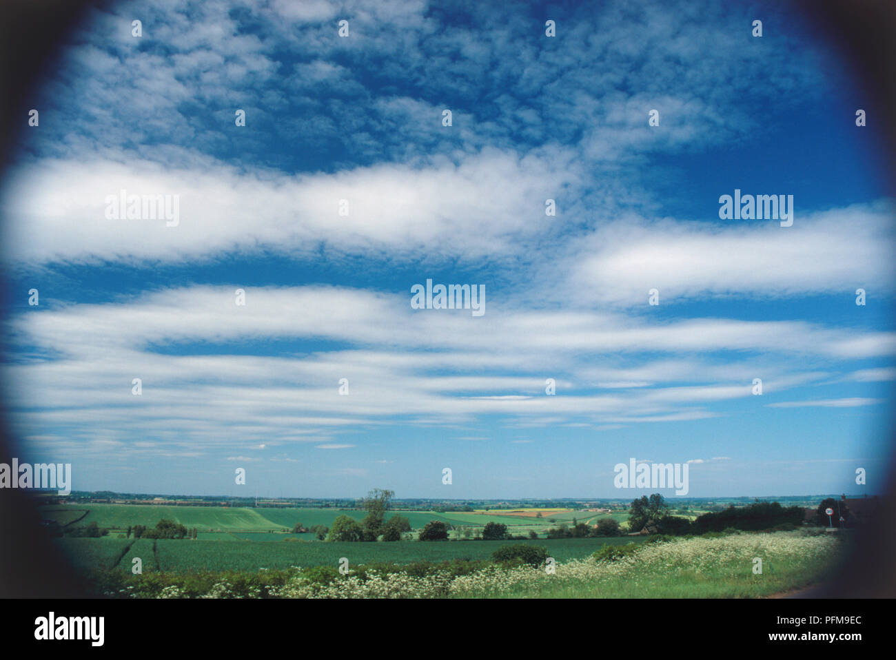 Altocumulus clouds, lenticularis species and cirrocumulus, high level ...