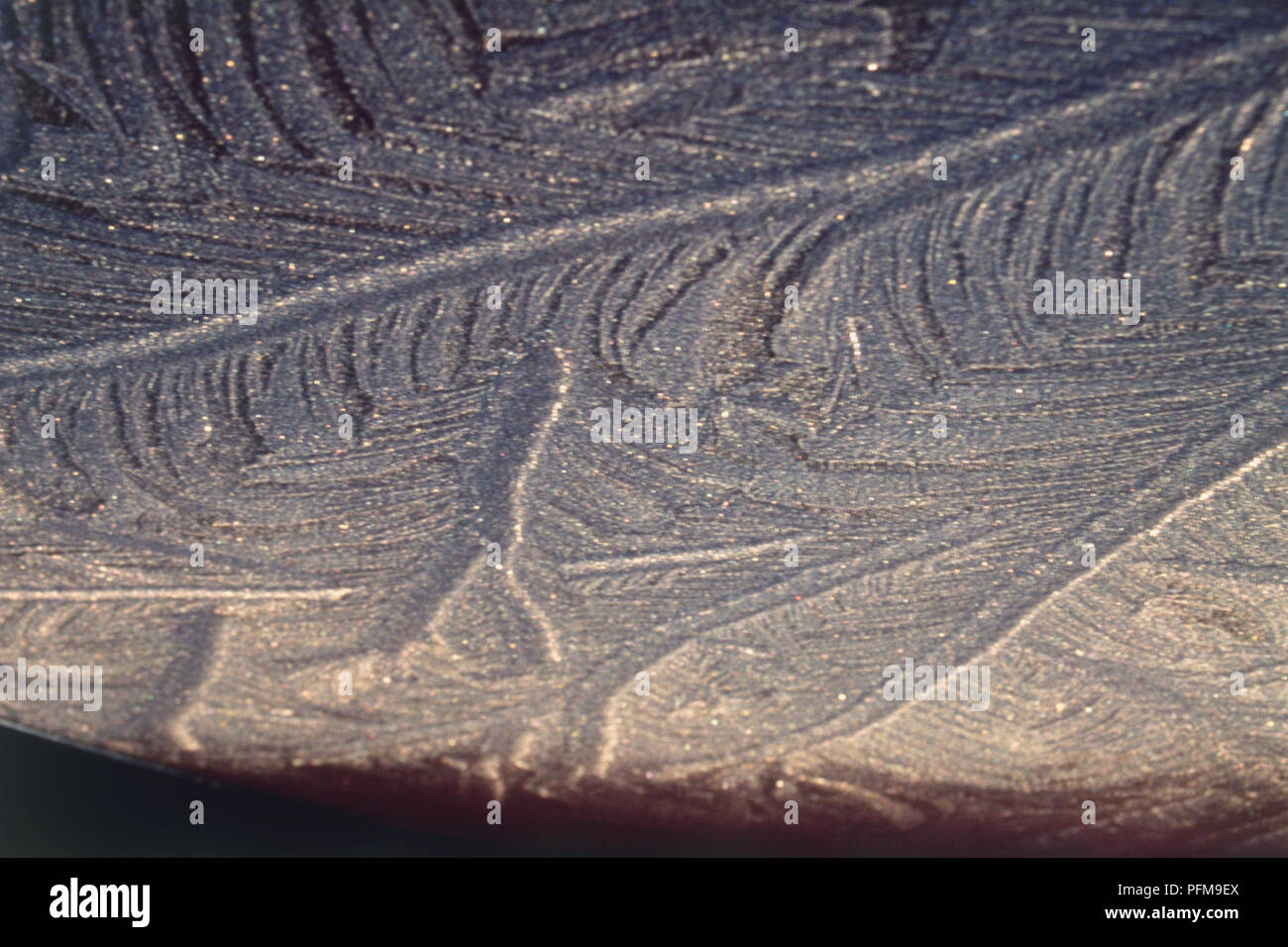 Ground frost close up hi-res stock photography and images - Alamy