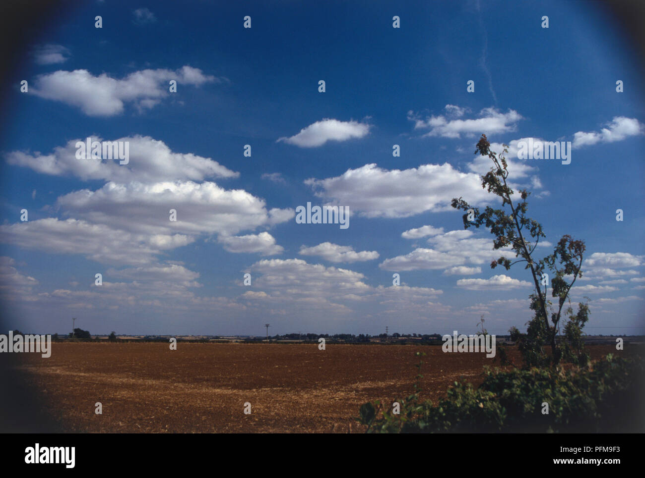Stratocumulus perlucidus, low-lying white clouds against bright blue ...