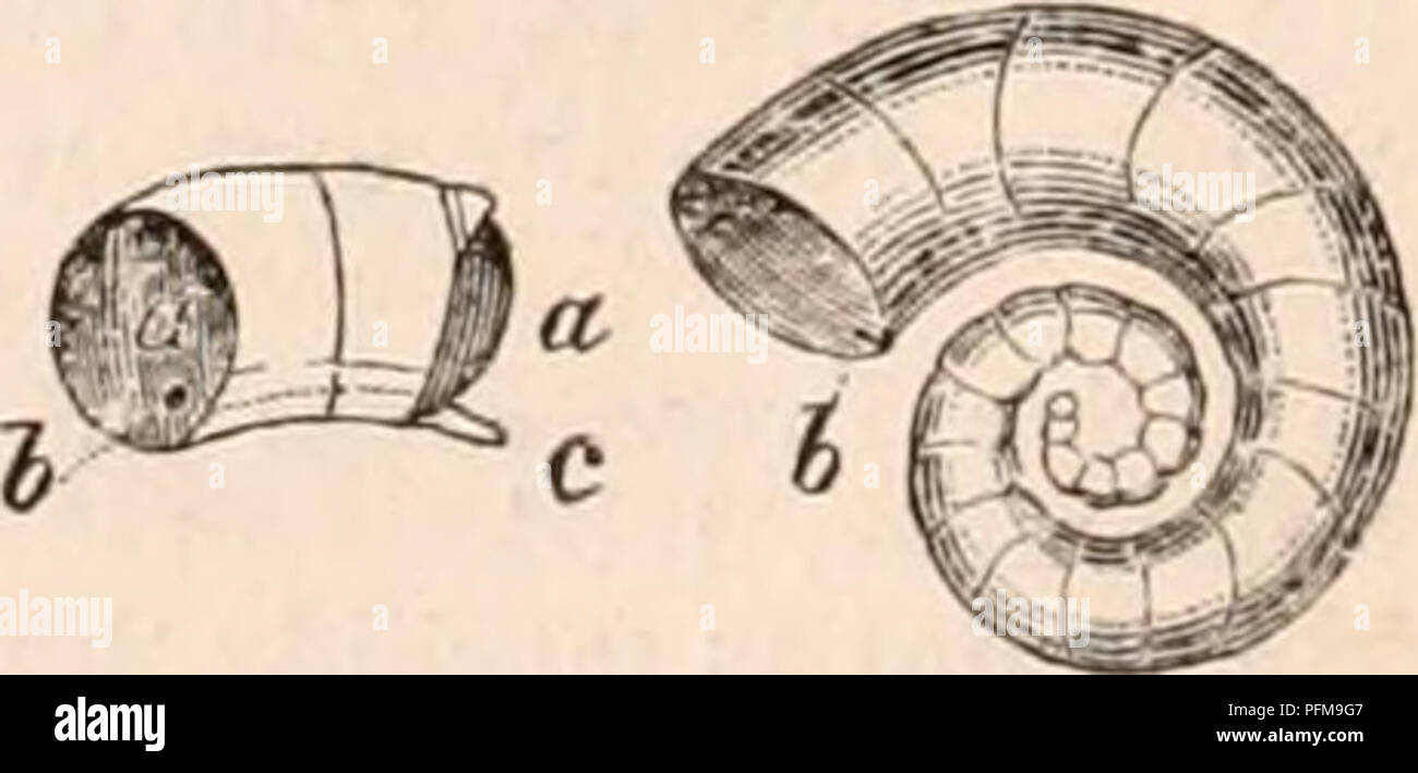 This text covers key aspects of anatomy and physiology, particularly ...