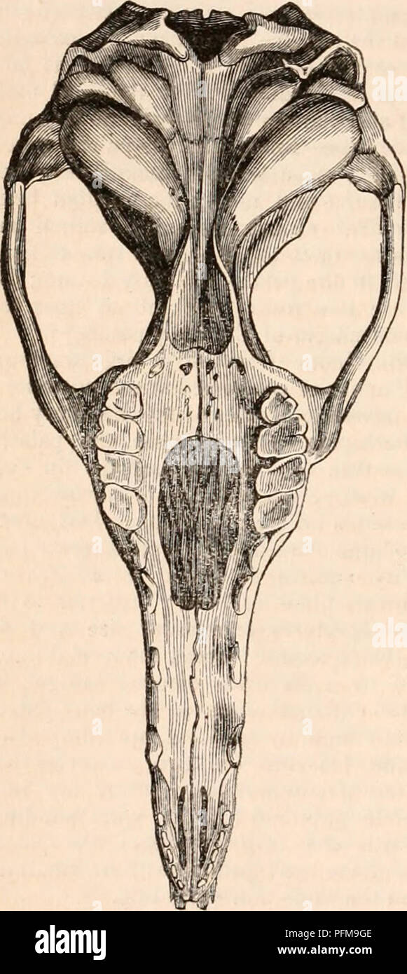 This section from the cyclopedia of anatomy and physiology discusses ...