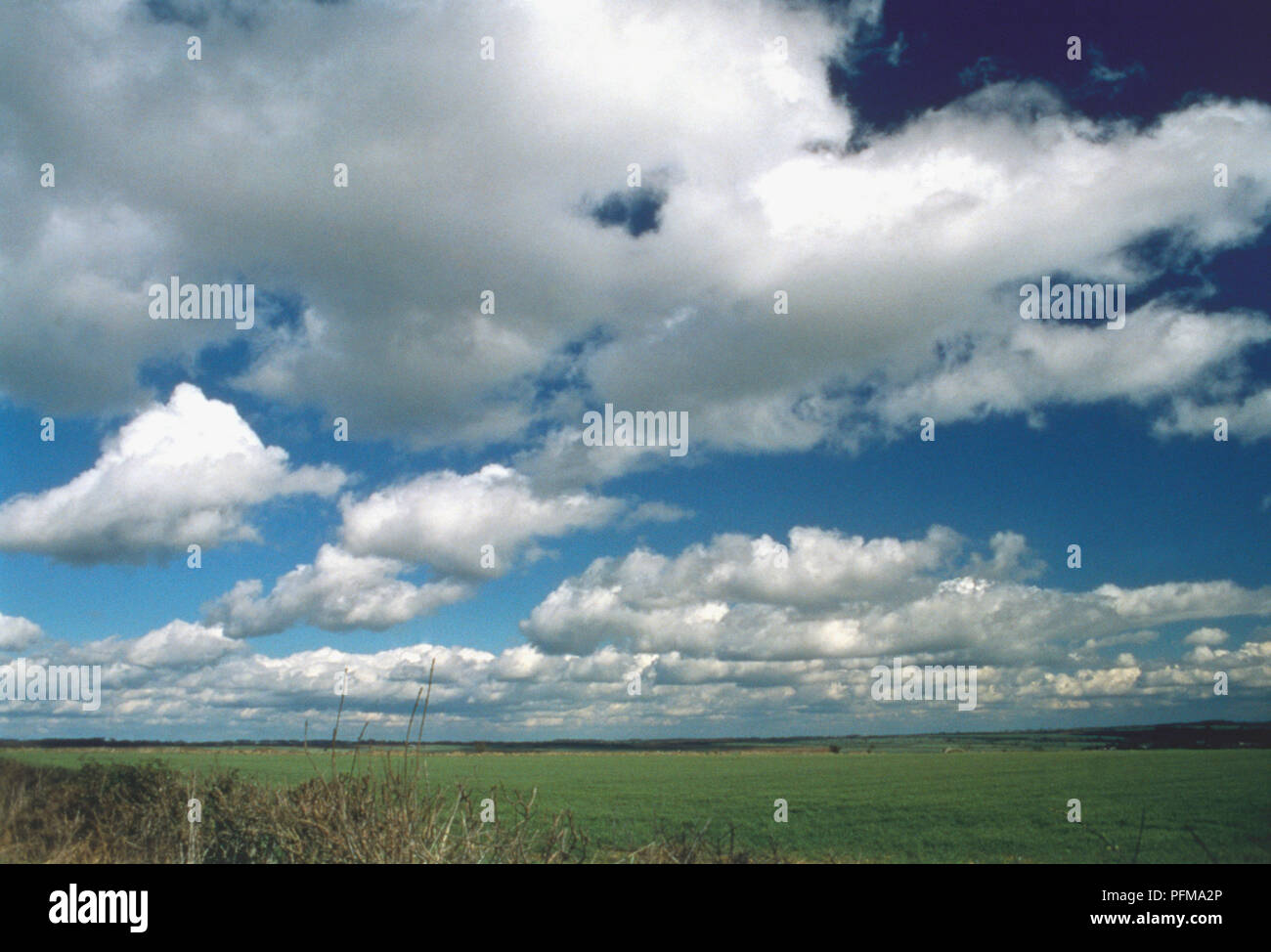 Cumulus humilis, layers of flat white clouds, and Fractocumulus ...