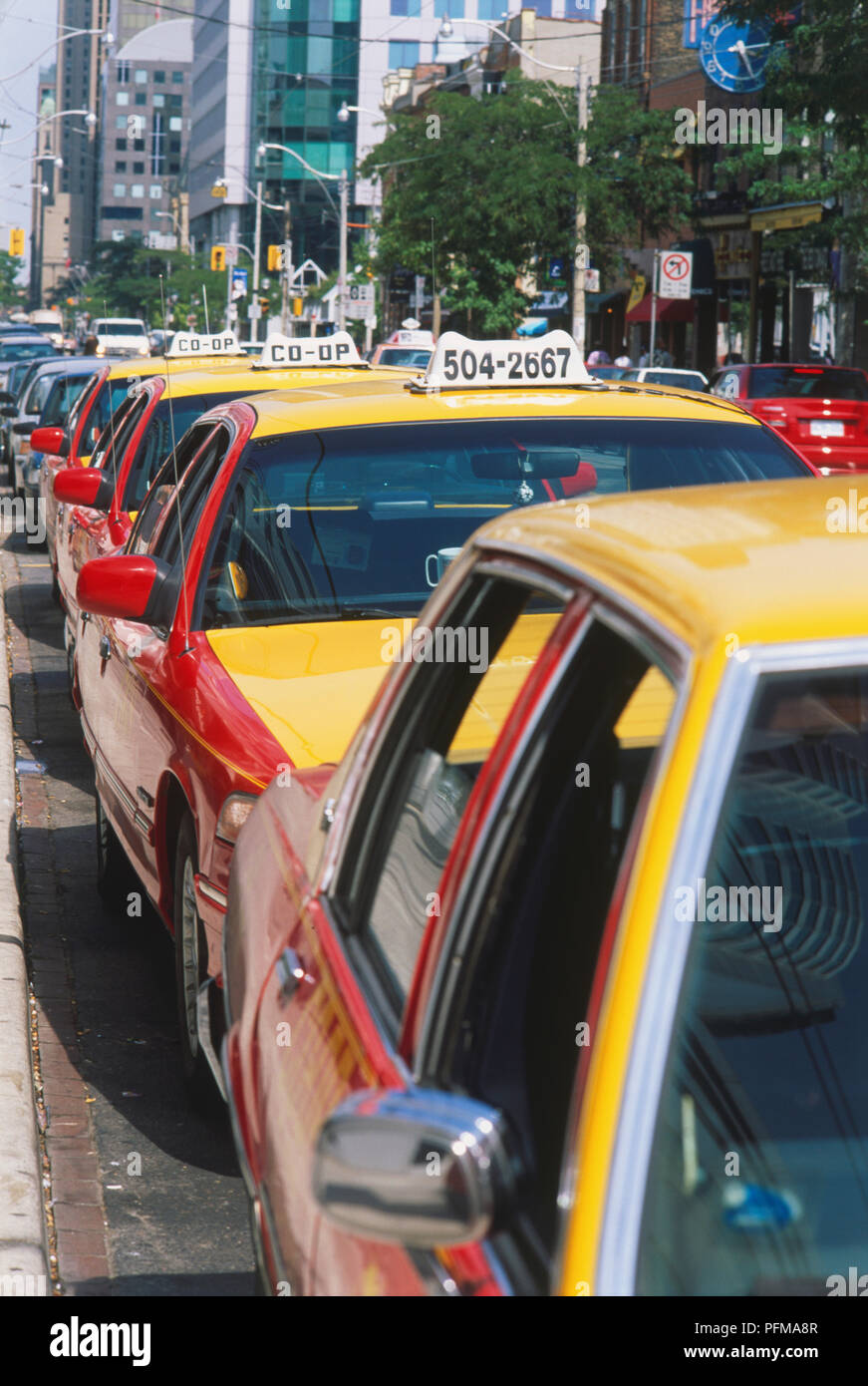 Canada, Ontario, Toronto, red-yellow taxicabs lined up at stand, close ...