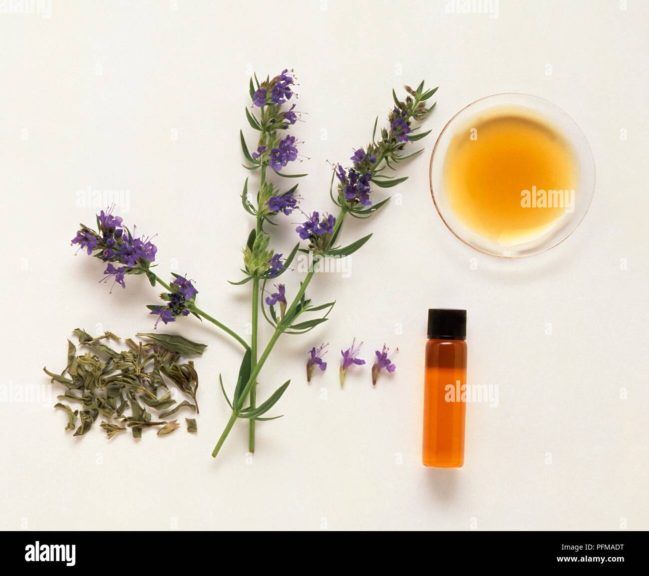 Dried hyssop herb hi-res stock photography and images - Alamy