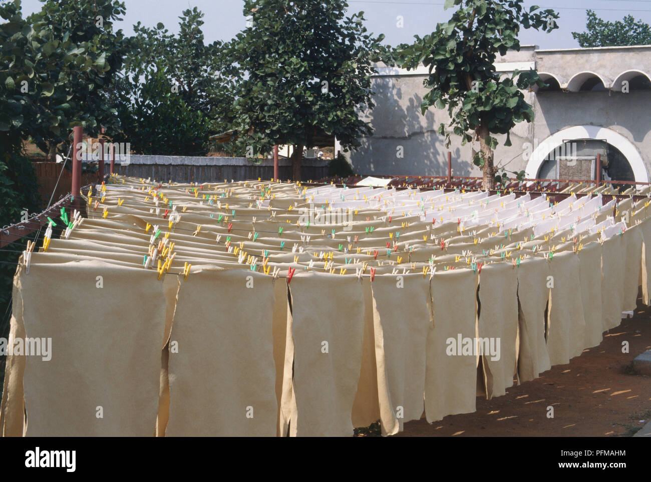 Taragram hi-res stock photography and images - Alamy