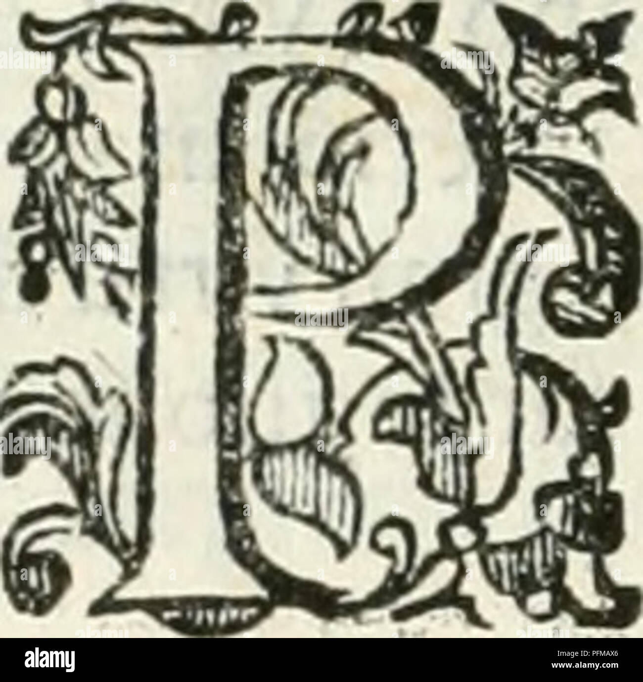 This text discusses the preparation of the Elixir of Life, using ...