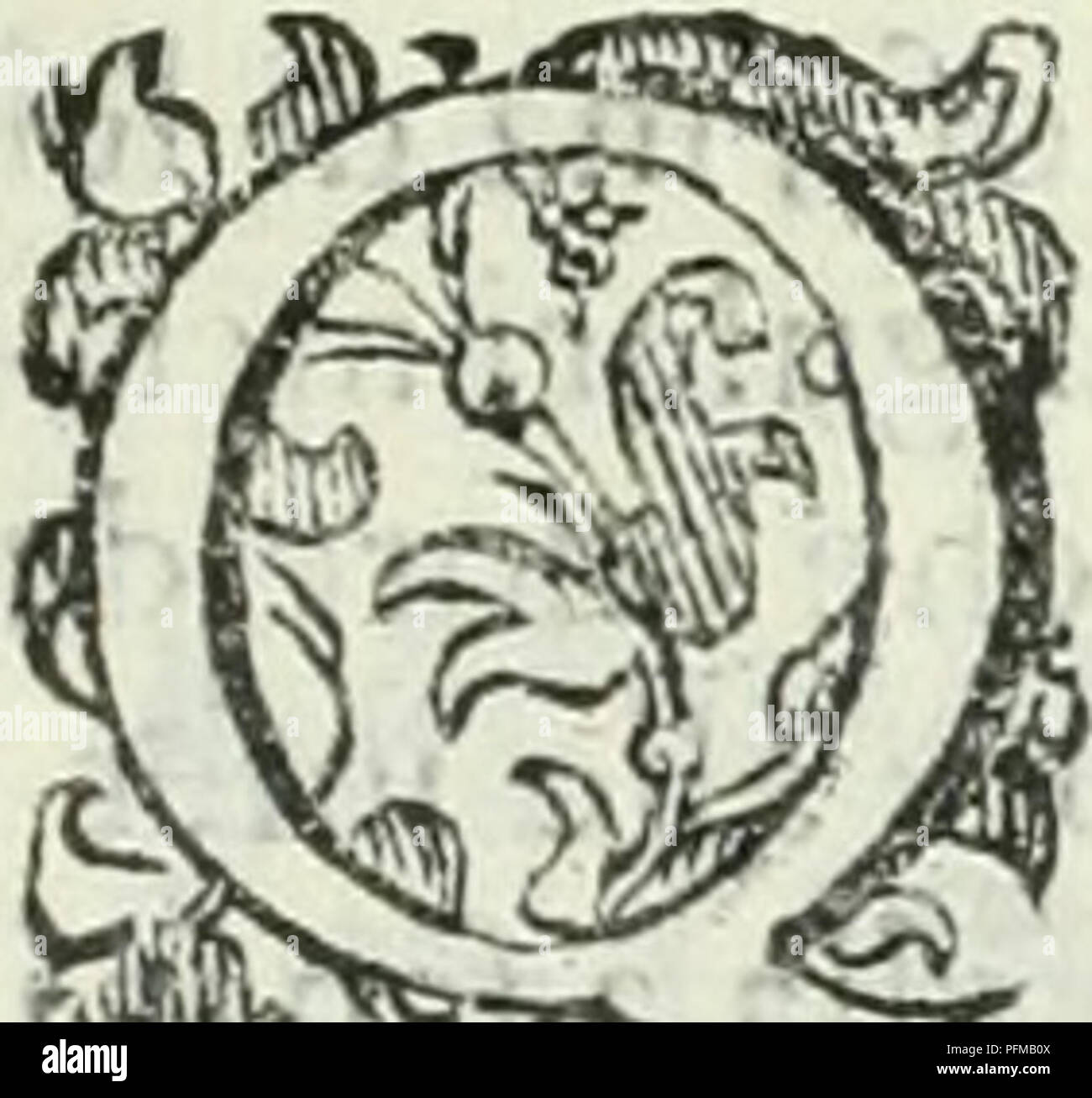 This work explores the concept of the 'Elixir of Life' through ...