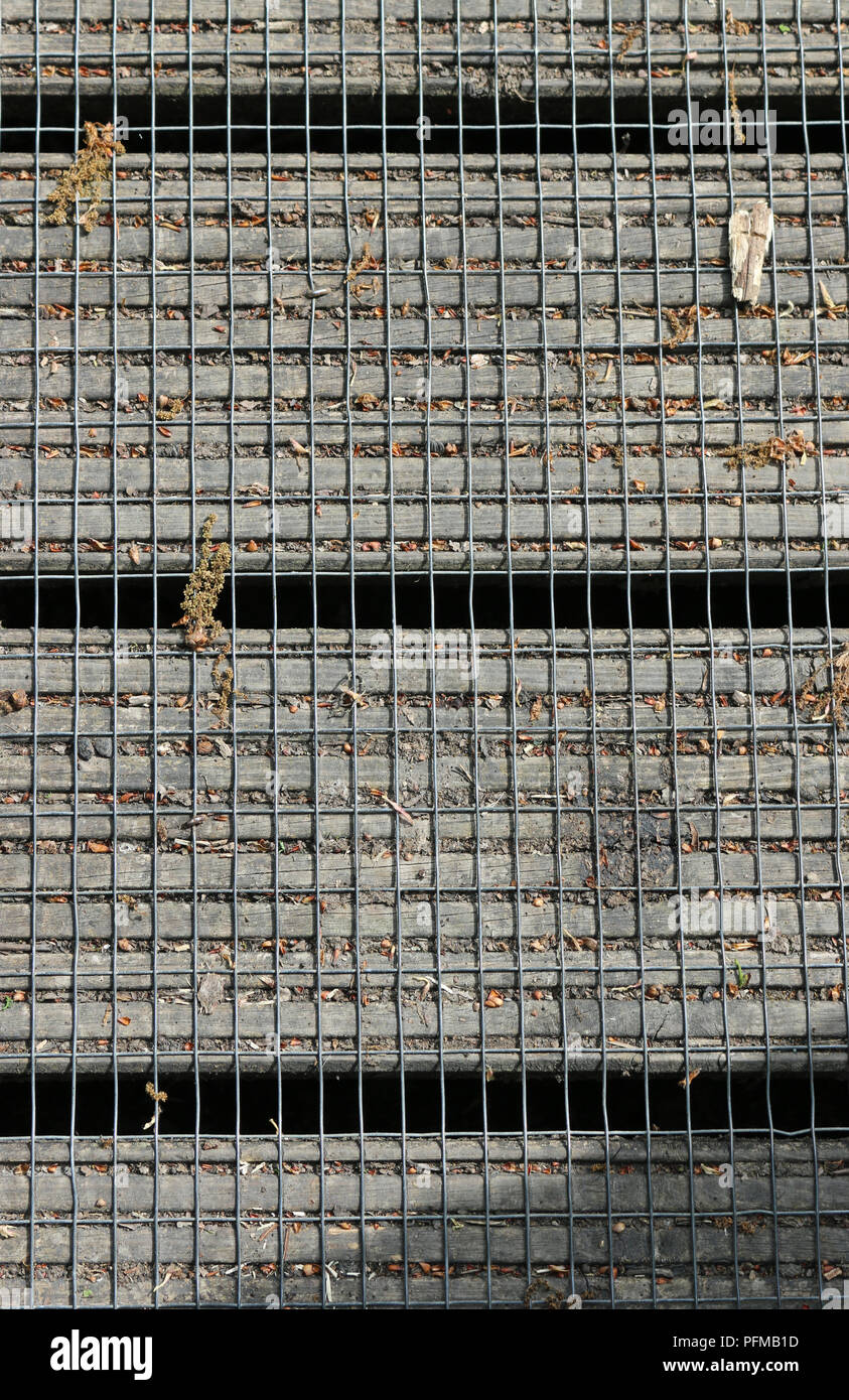 Close view of the metal wire mesh attached to the surface of a wooden ...
