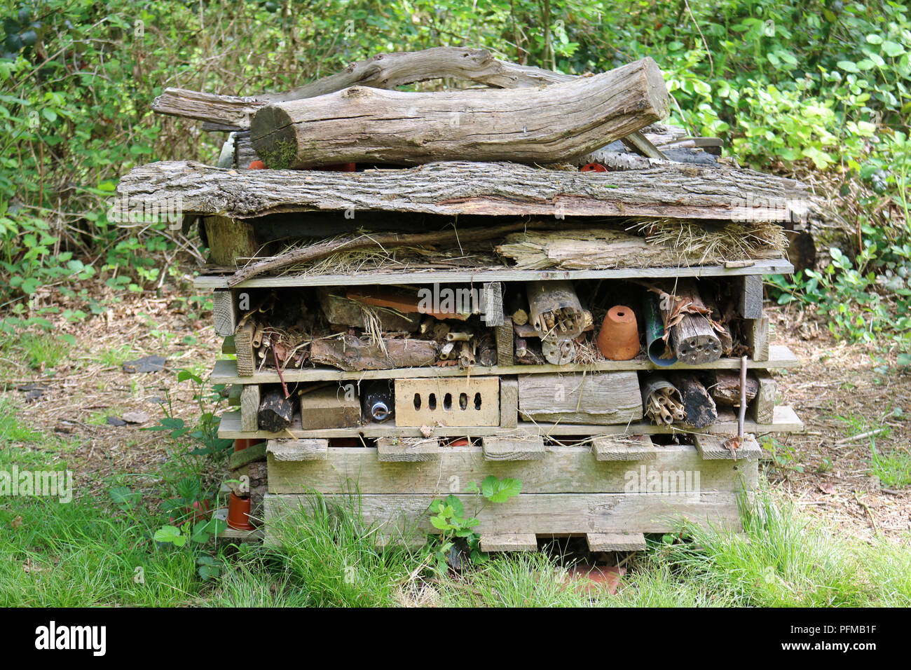 Pallet garden hi-res stock photography and images - Alamy