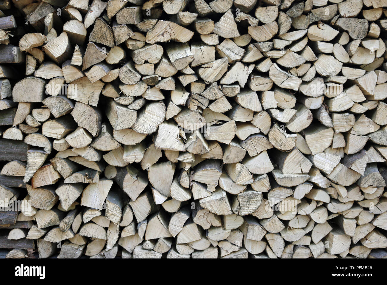 Split and round logs from a coppice woodland drying in a stack for ...