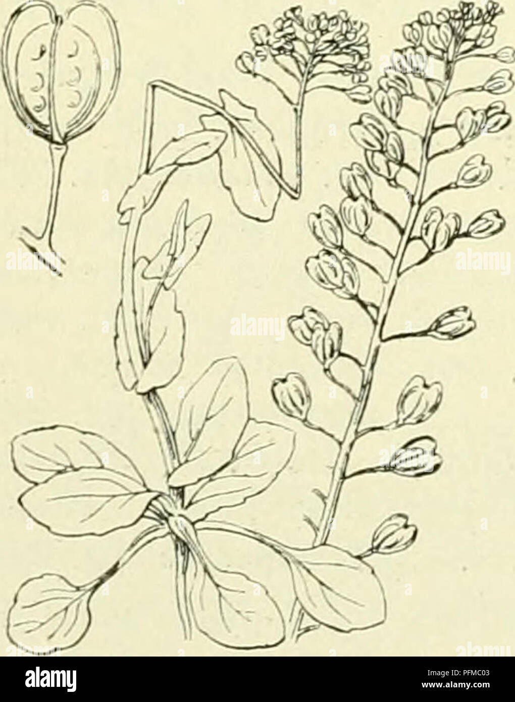 Lengen hi-res stock photography and images - Alamy