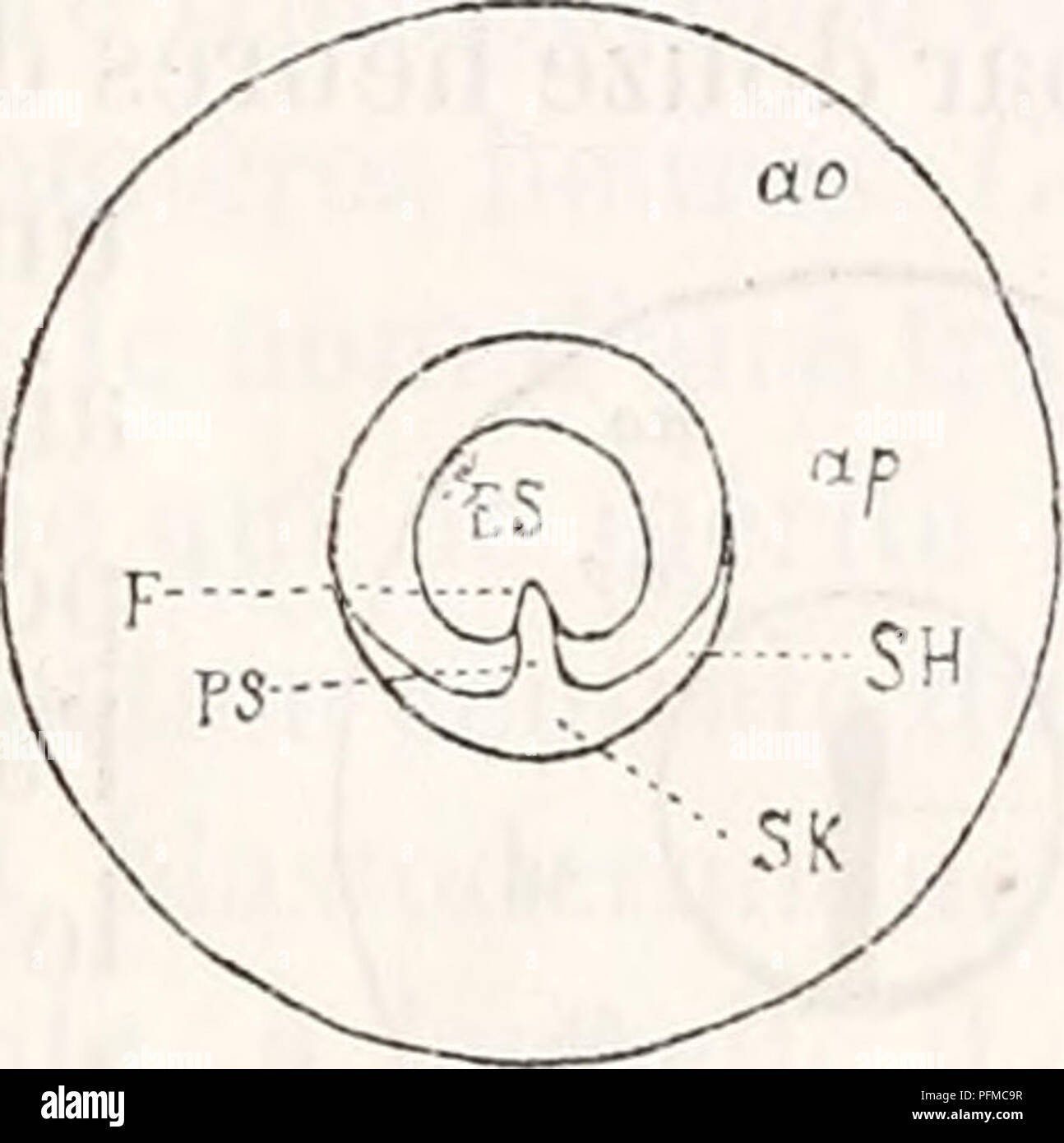 Ligne de formation hi-res stock photography and images - Alamy