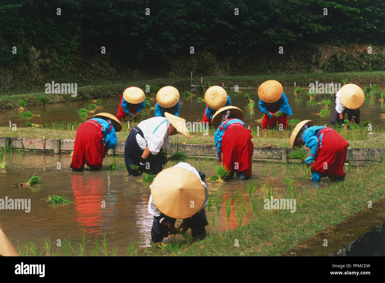 Rice planters hi-res stock photography and images - Alamy