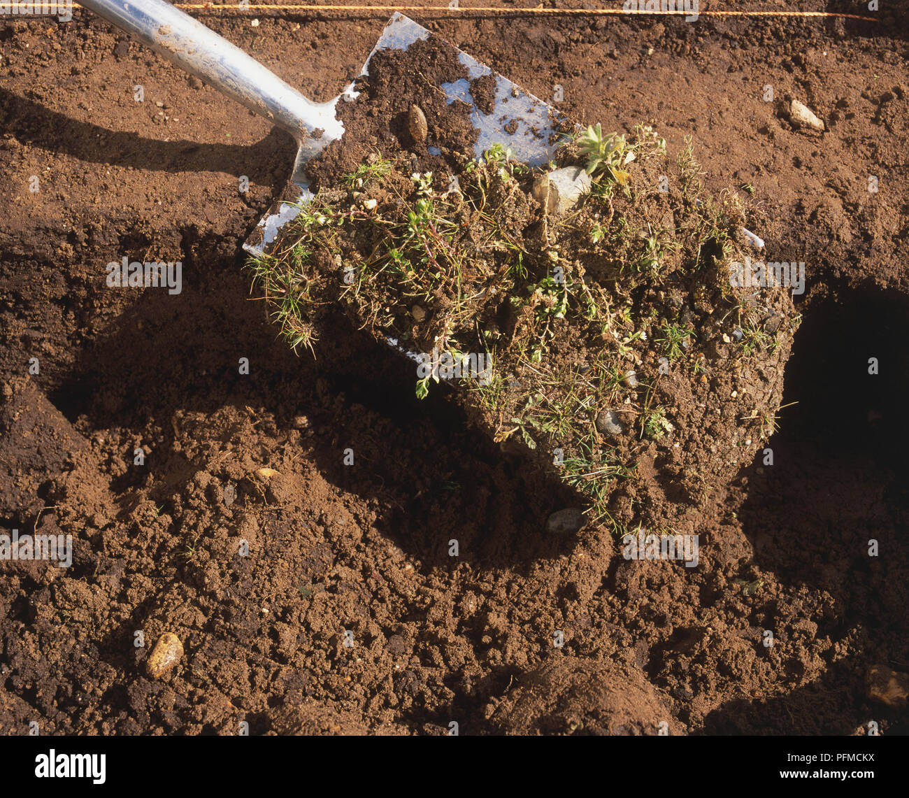 Weed skimmings being tipped off the blade of a spade Stock Photo - Alamy