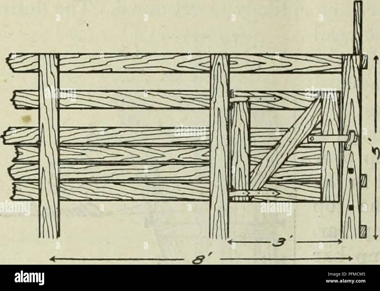 Calf Testicles High Resolution Stock Photography and Images - Alamy