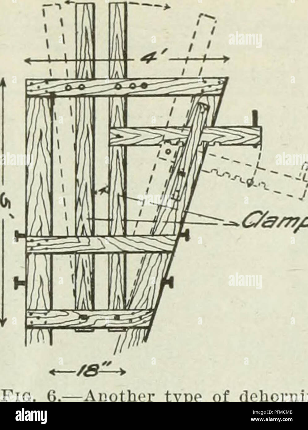 Dehorning of cattle hi-res stock photography and images - Alamy
