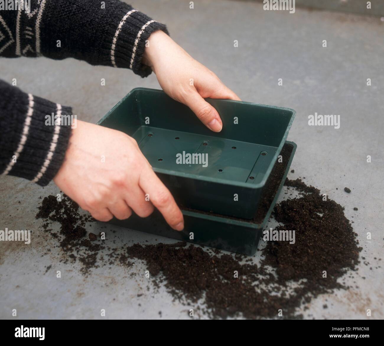 Holding small empty seed tray on top of seed tray below filled with ...