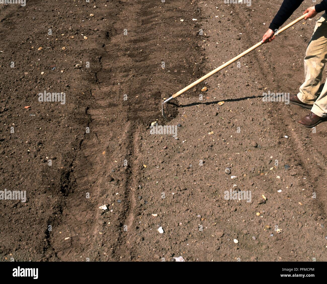 Man standing on path area and spreading soil on bed Stock Photo - Alamy