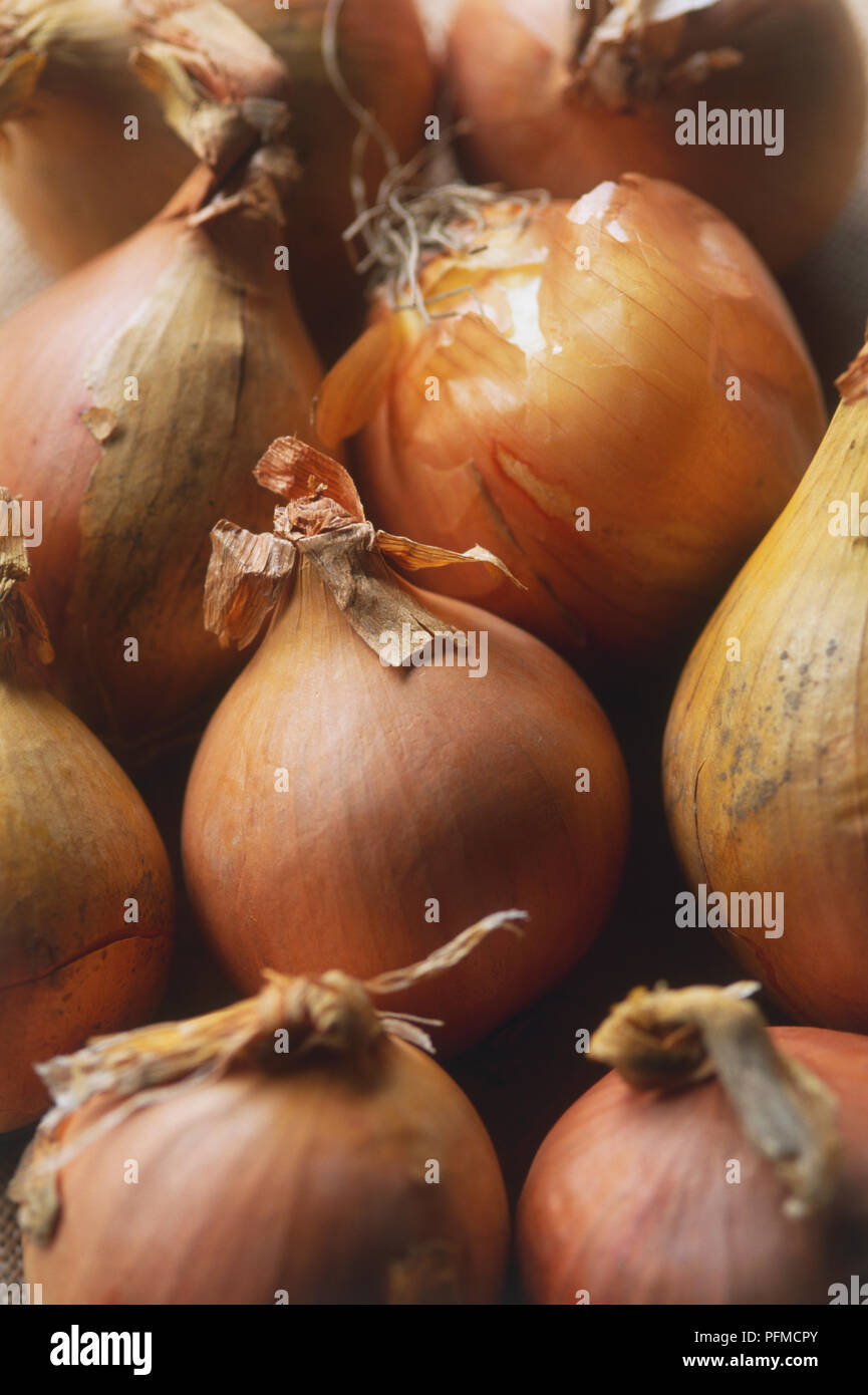 Bulbs of hi-res stock photography and images - Alamy