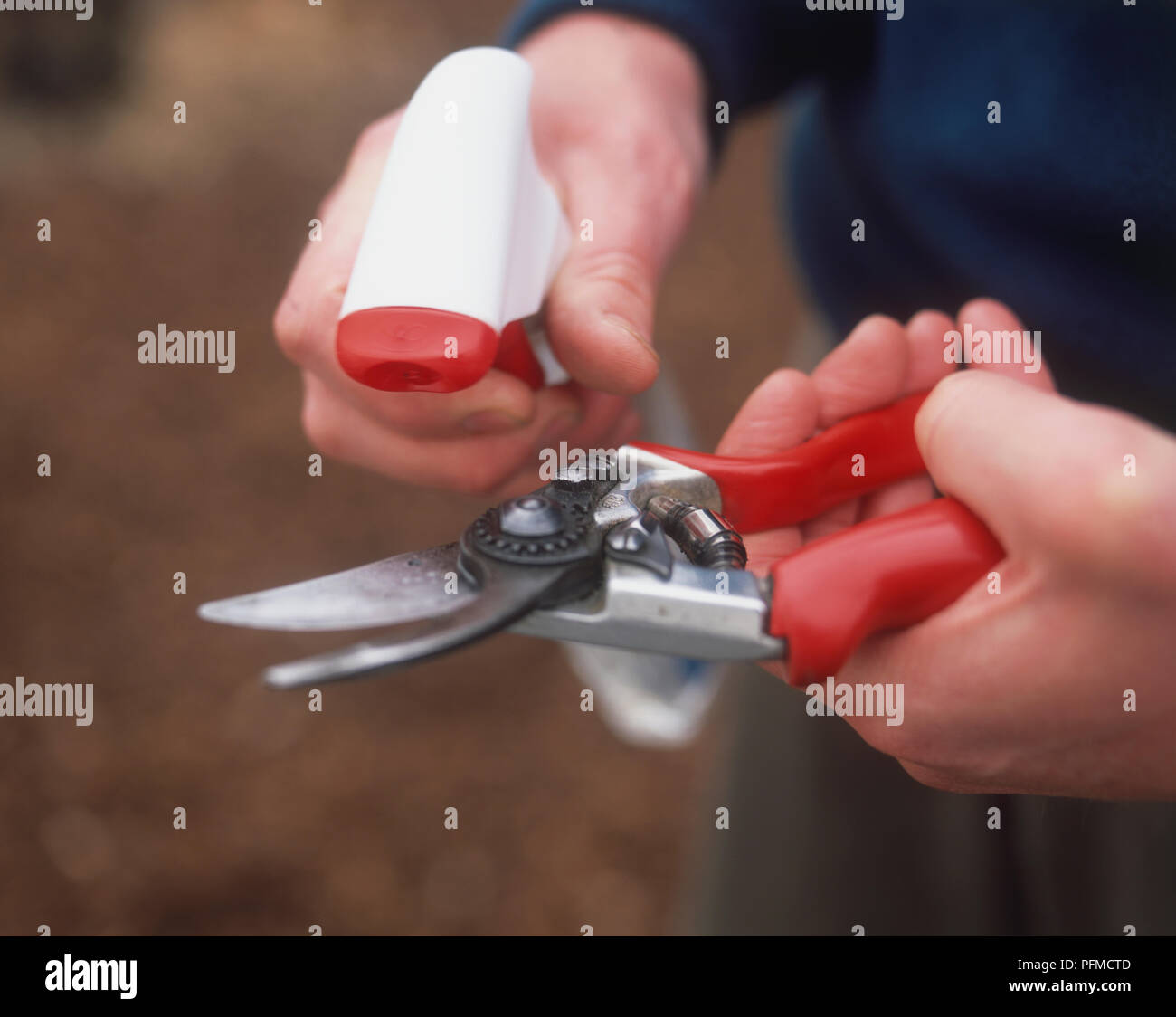 Cleaning secateurs hi-res stock photography and images - Alamy