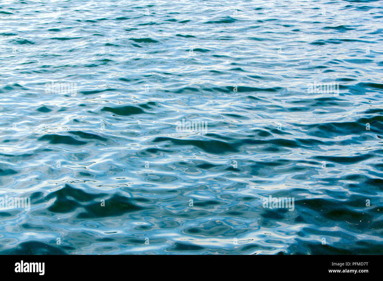Water Surface Texture