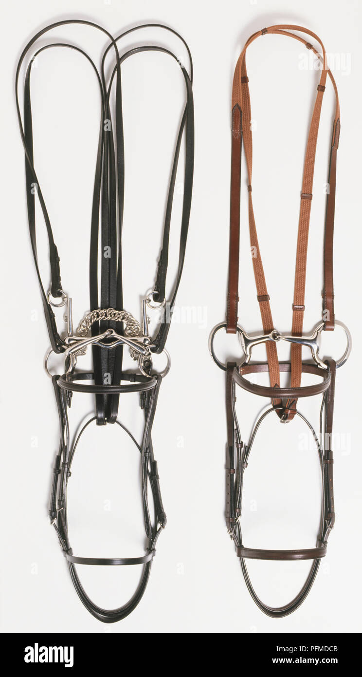 Bridles hi-res stock photography and images - Alamy