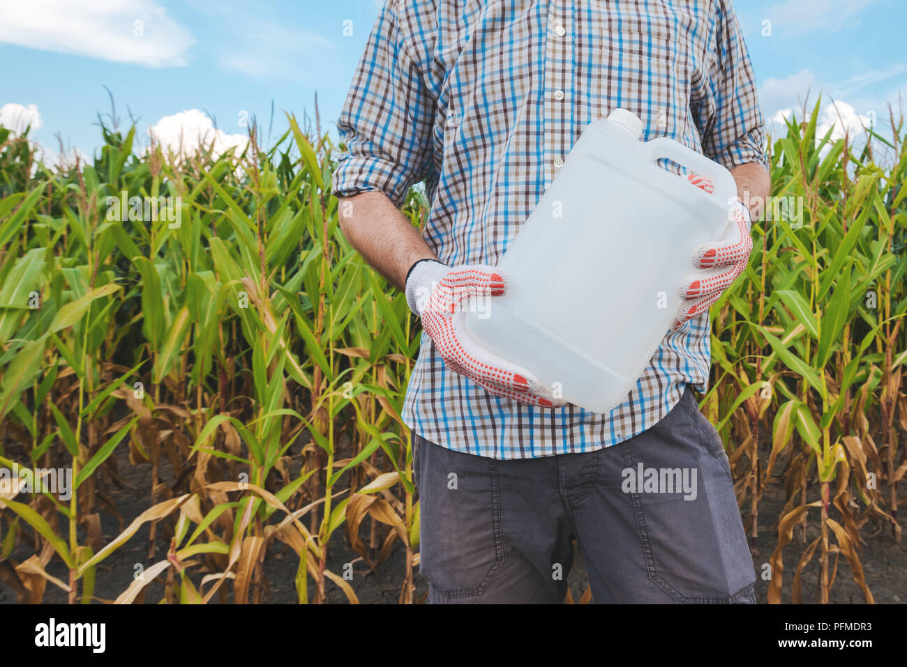 Farmer holding pesticide chemical jug in cornfield. Blank unlabelled ...