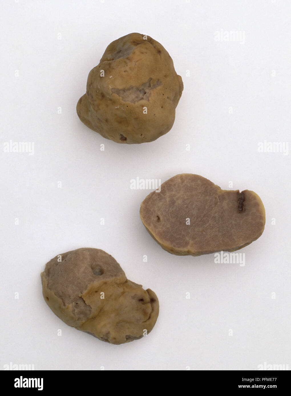 Section through Tuber magnatum, White Truffle Stock Photo - Alamy