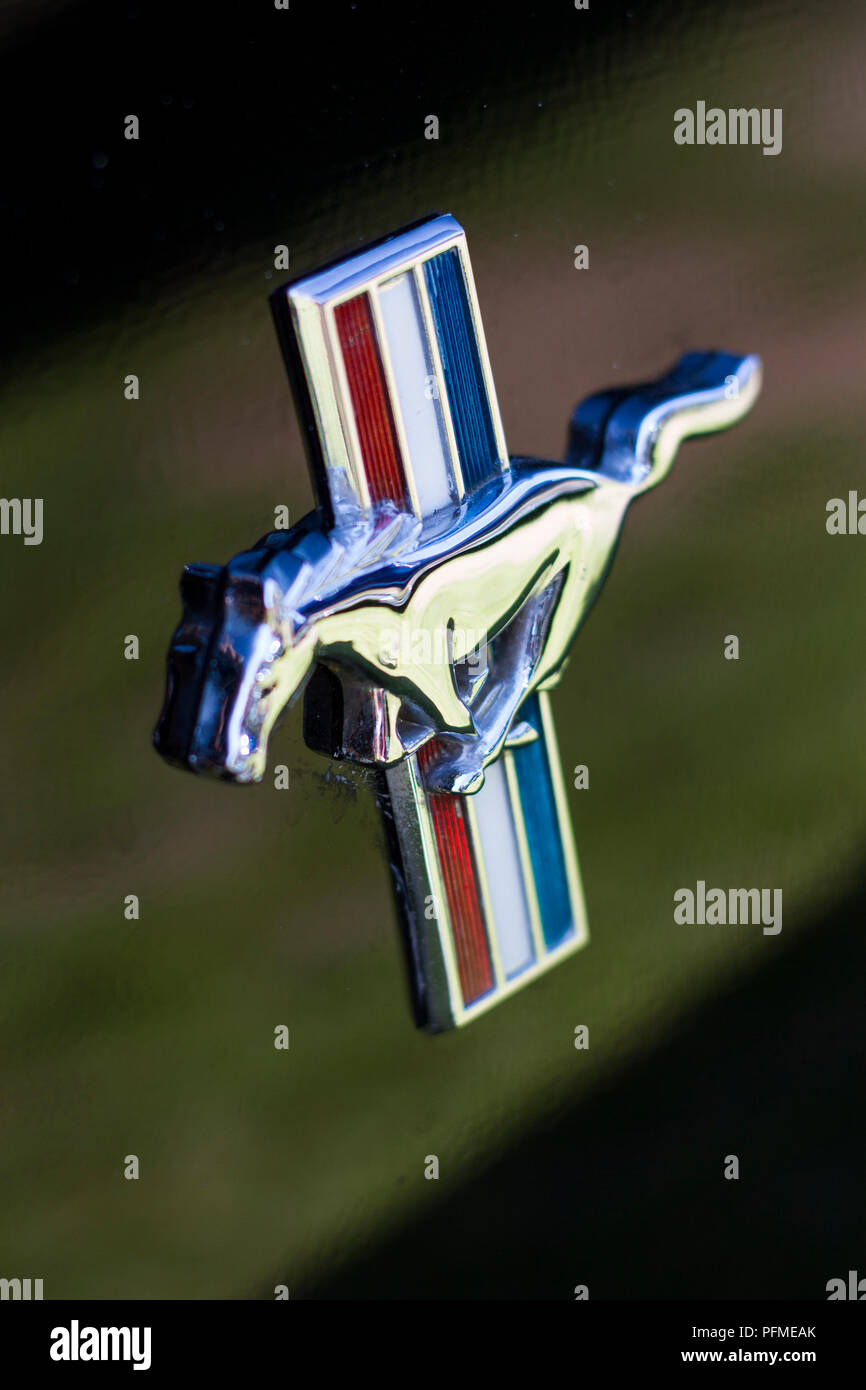 Ford mustang badge hi-res stock photography and images - Alamy