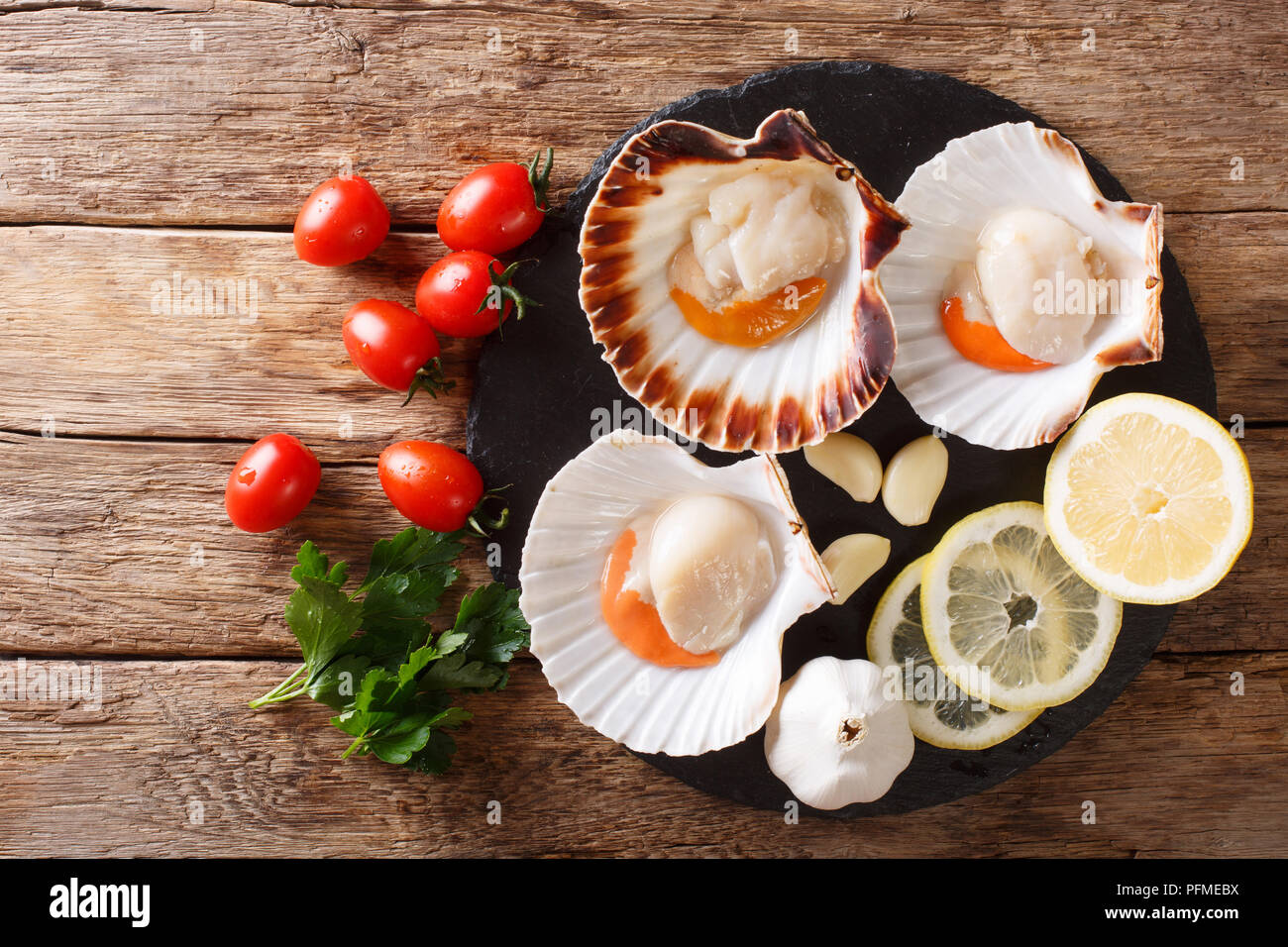 Scallop Shell Black Background High Resolution Stock Photography and ...