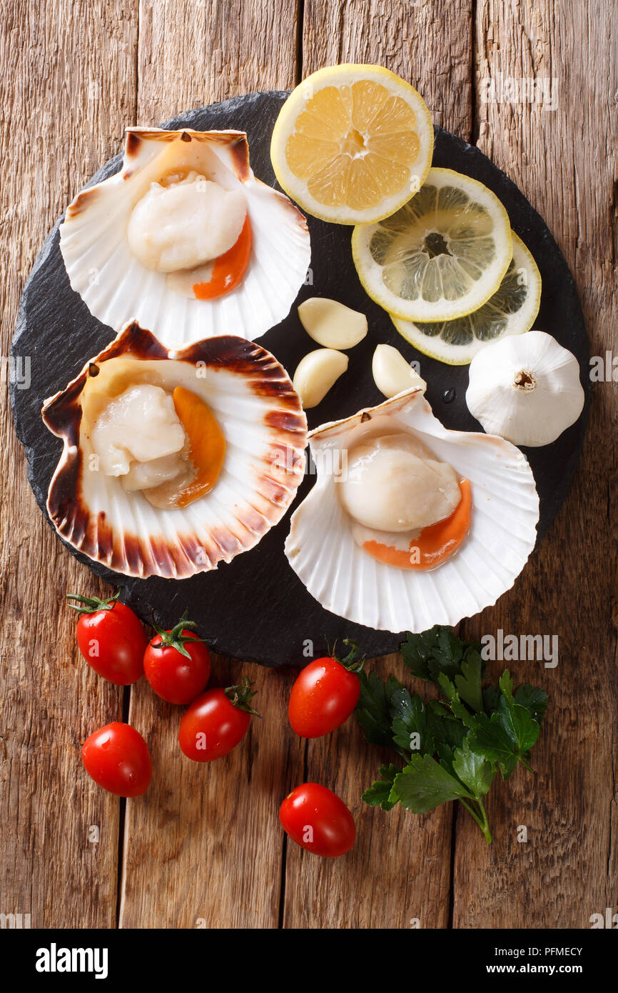 Scallops shell hi-res stock photography and images - Alamy