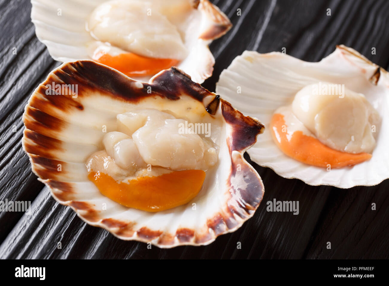 Seafood background with fresh scallops in white and brown shells ...