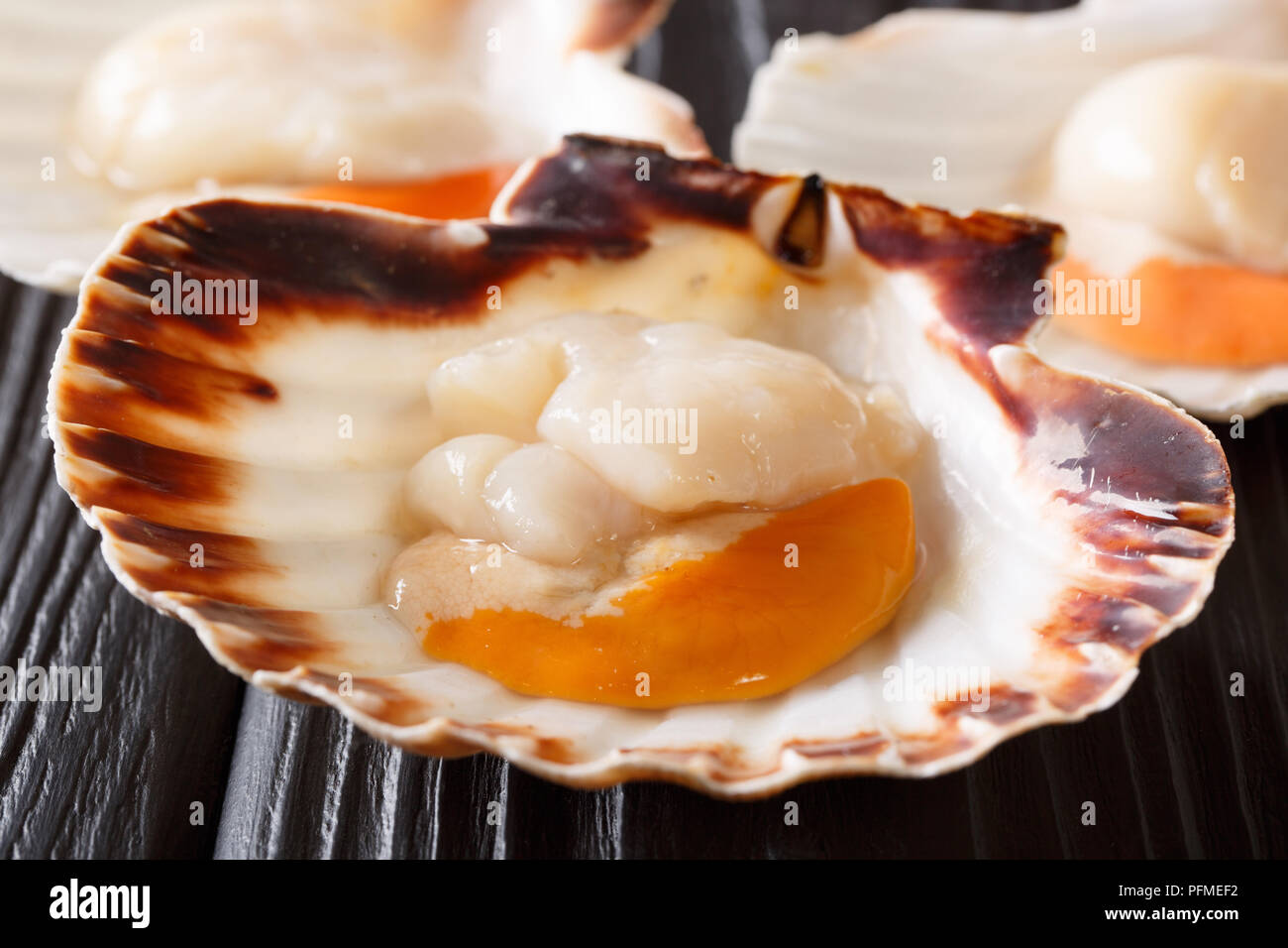 Open scallop shell hi-res stock photography and images - Alamy