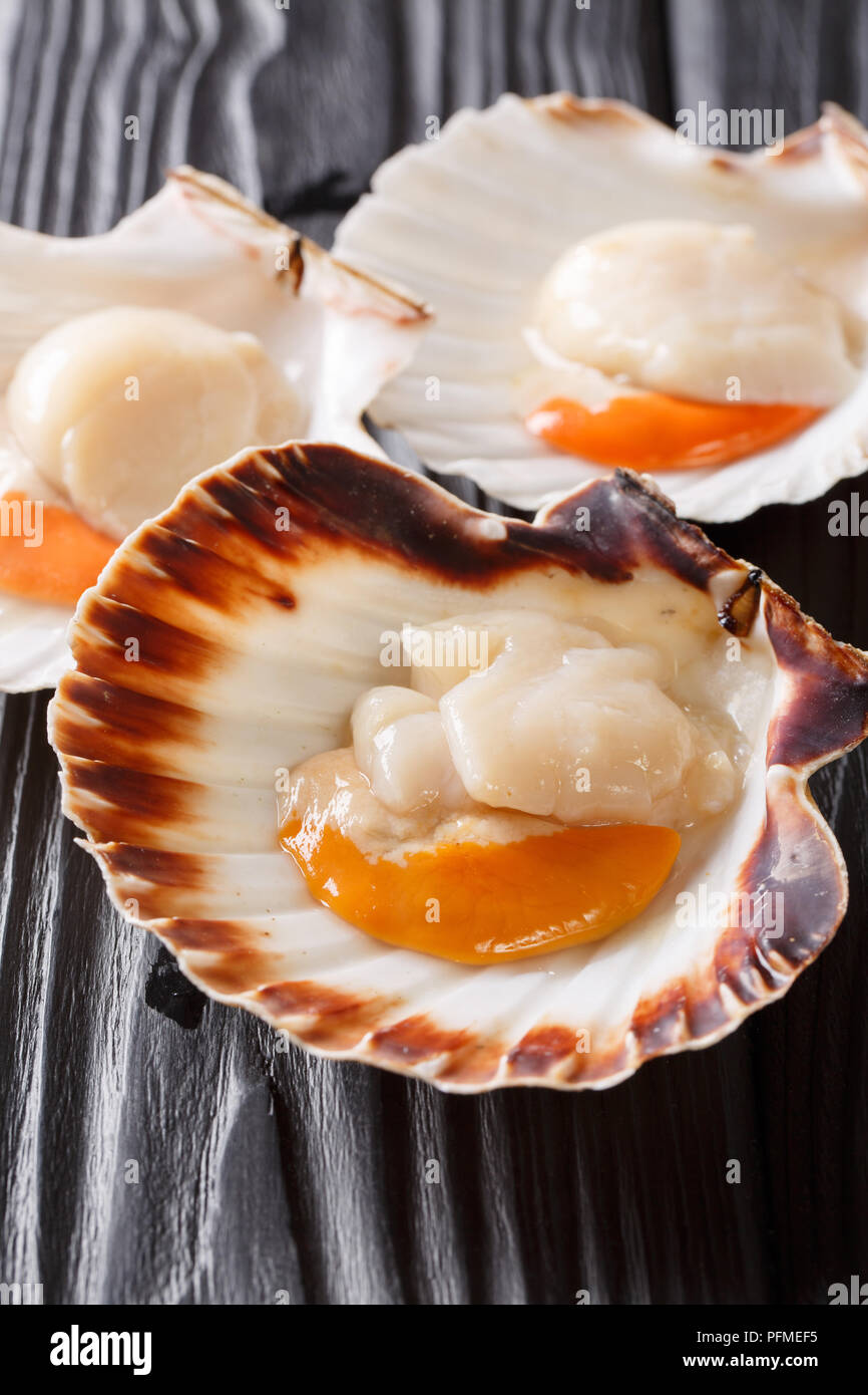 Open scallop shell hi-res stock photography and images - Alamy