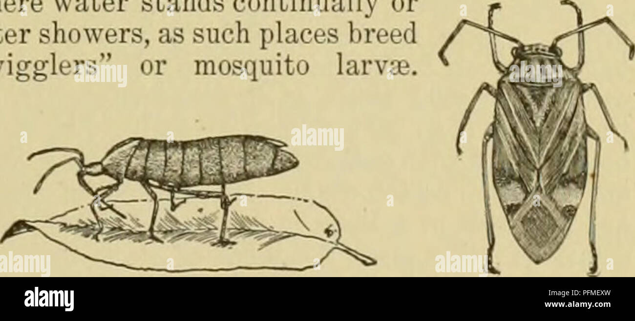 . Cyclopedia of farm crops. Farm produce; Agriculture. and delay ...