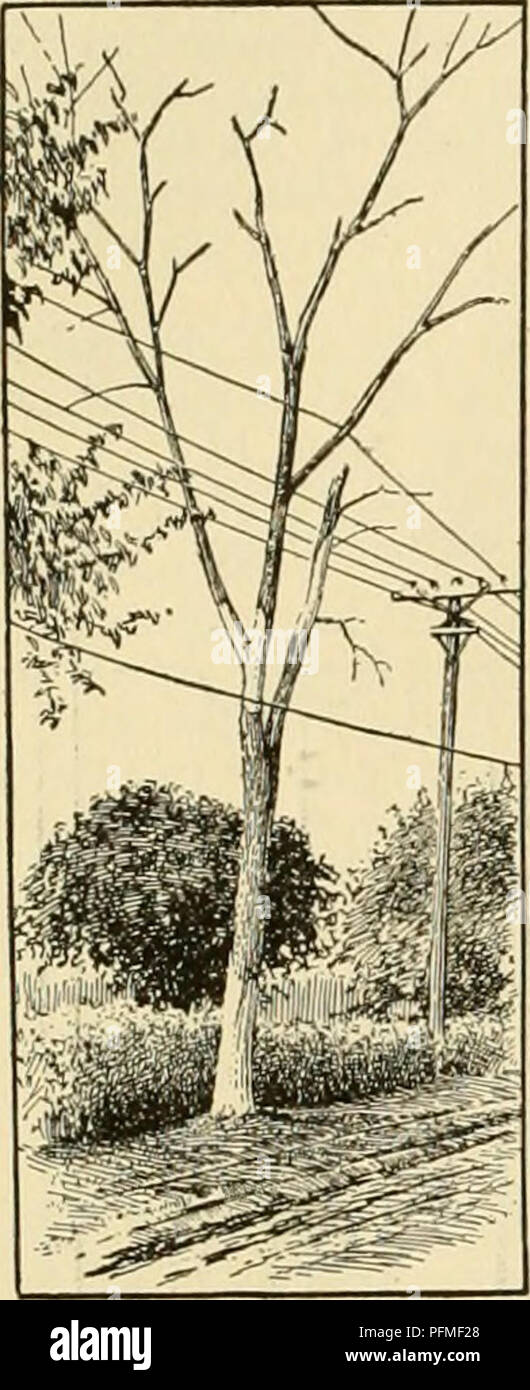 This comprehensive resource discusses various farm crops and their ...