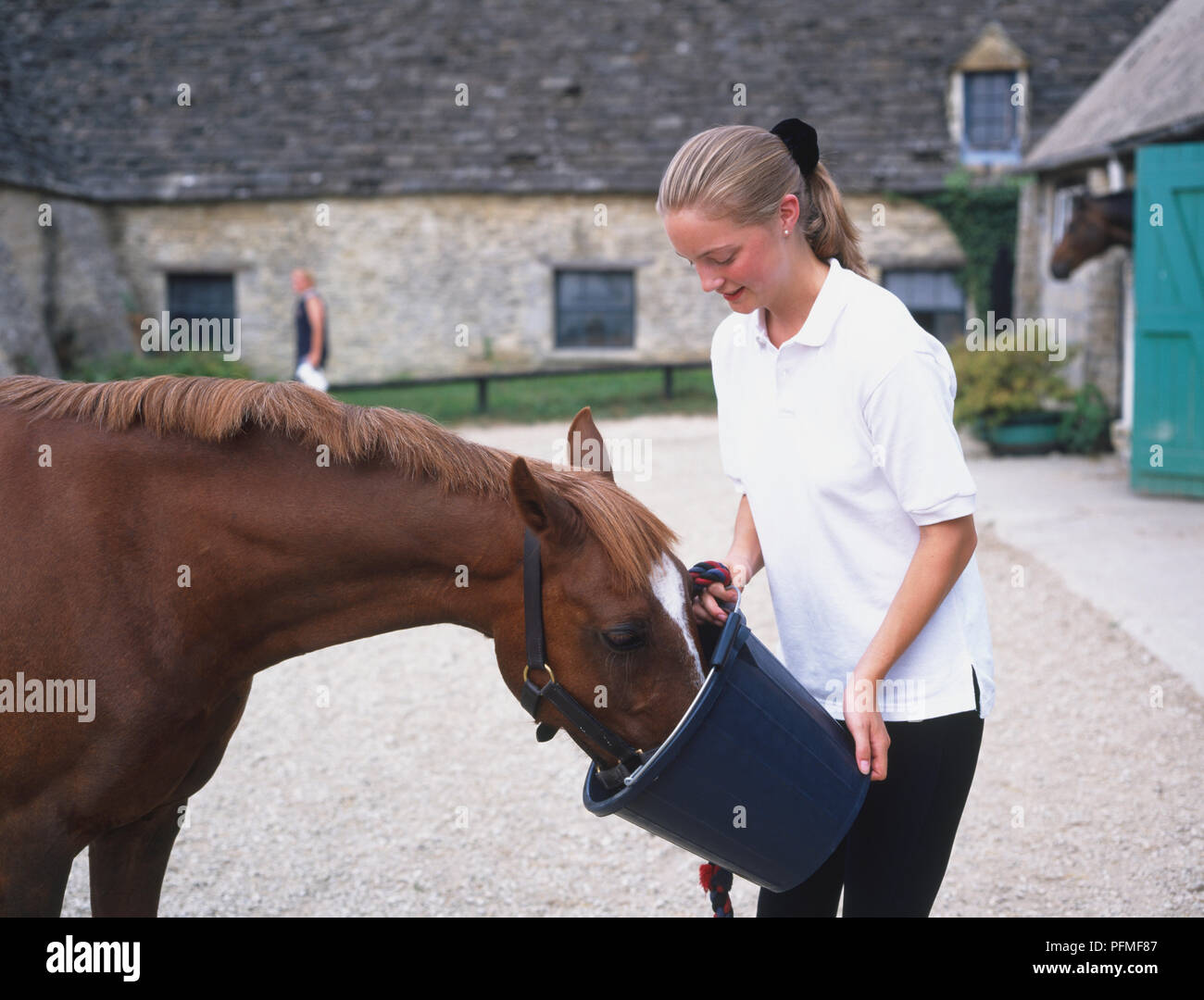 Bucket water horse hi-res stock photography and images - Alamy