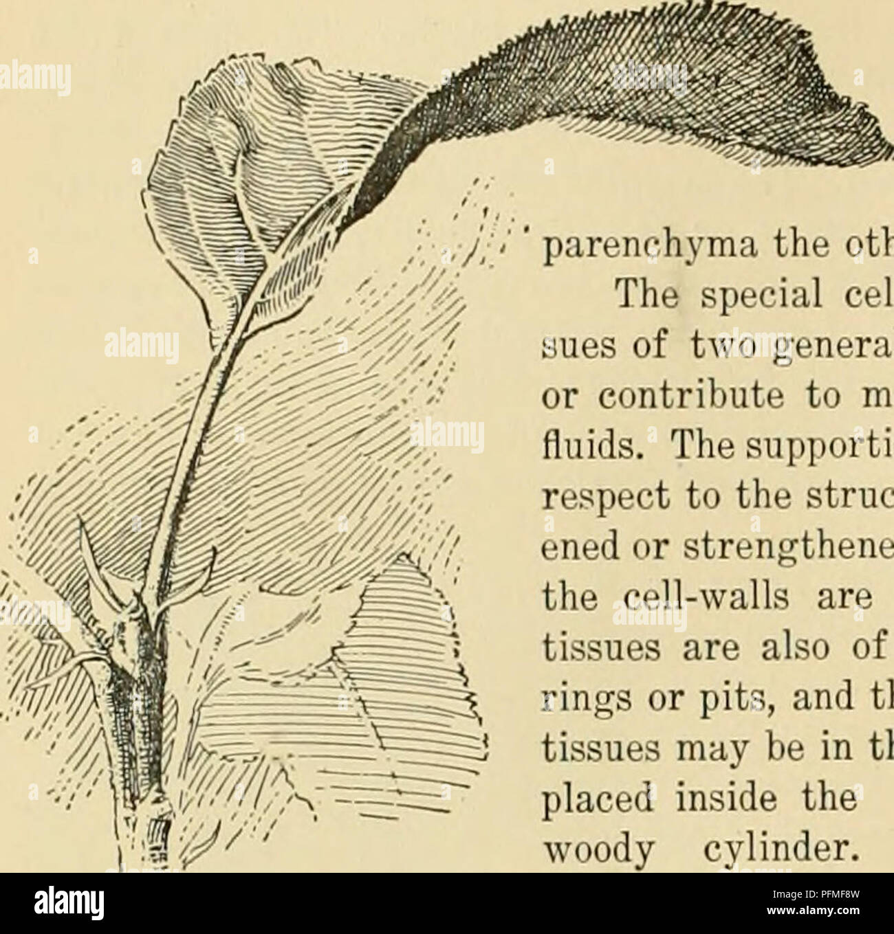 . Cyclopedia of farm crops. Farm produce; Agriculture. 8 STRUCTURE AND ...
